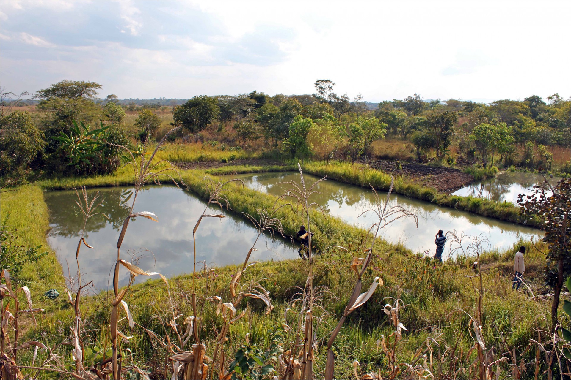 COMACO — Atlas of the Future