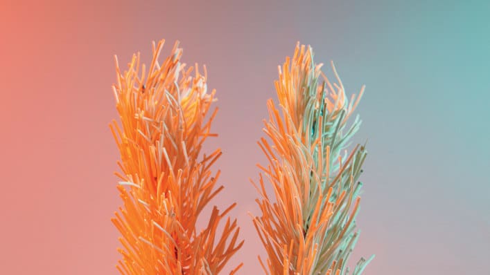ION Exchange Resin Membrane — Atlas of the Future
