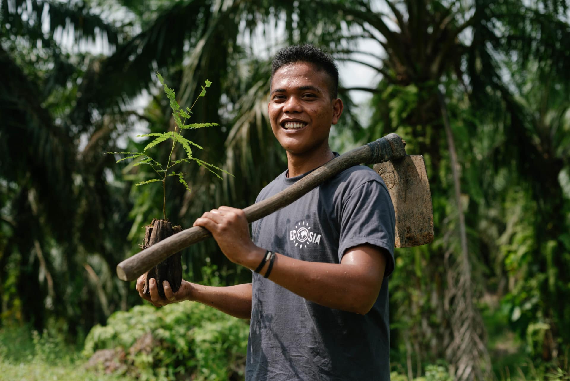 Ecosia - Atlas of the Future — Atlas of the Future