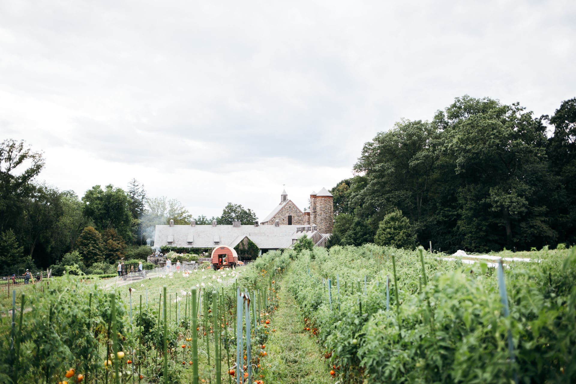 The chef planting hope - Atlas of the Future — Atlas of the Future