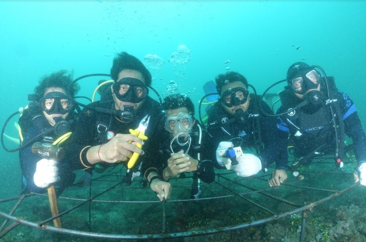 Biorock Indonesia is restoring coral with electrified reefs — Atlas of ...