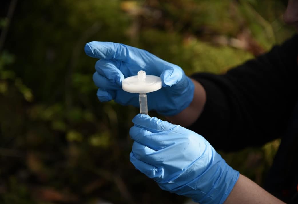 NatureMetrics is starting a data revolution in conservation — Atlas of ...