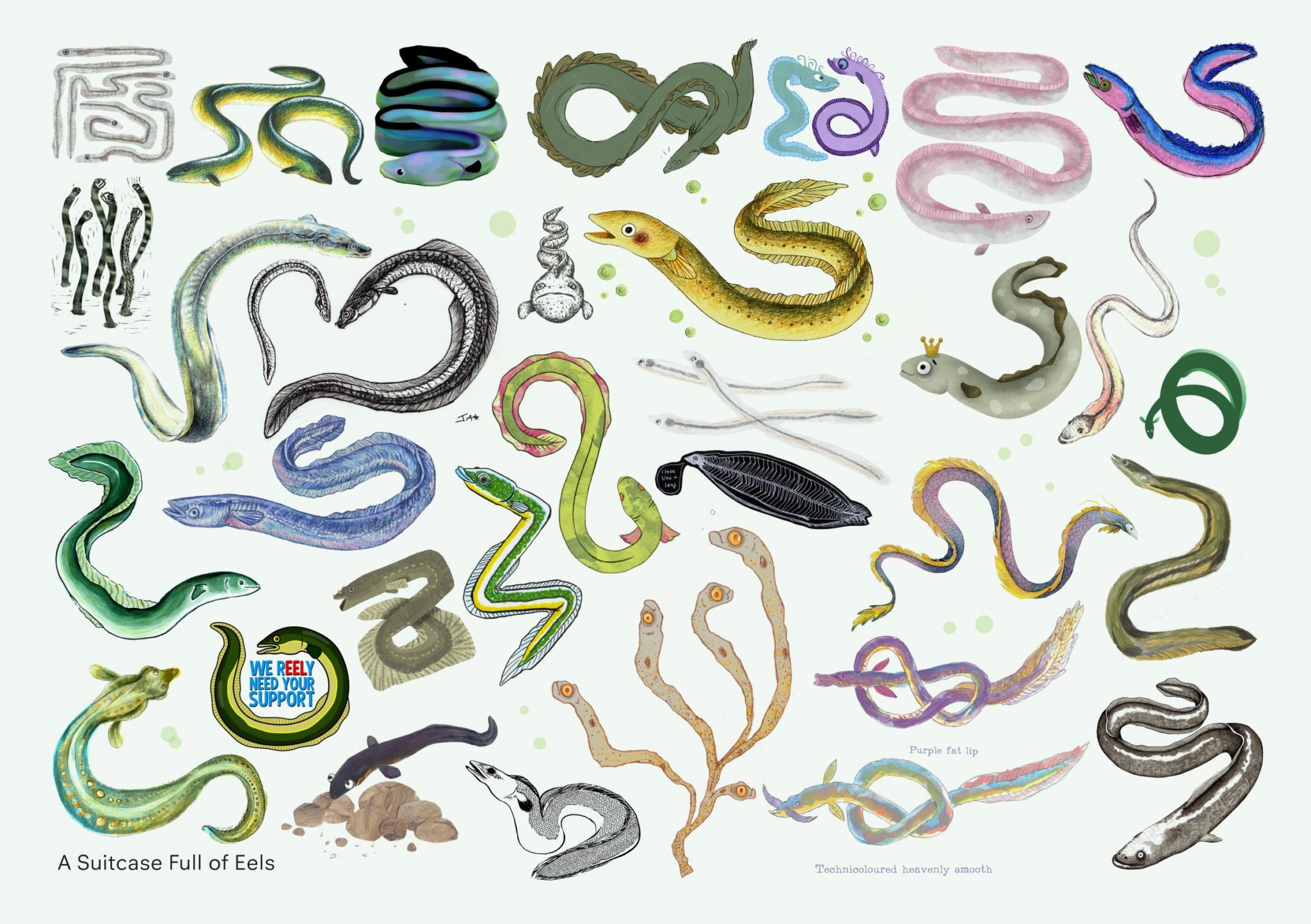 Sustainable Eel Group, a good deal for healthy eels | Atlas of the ...