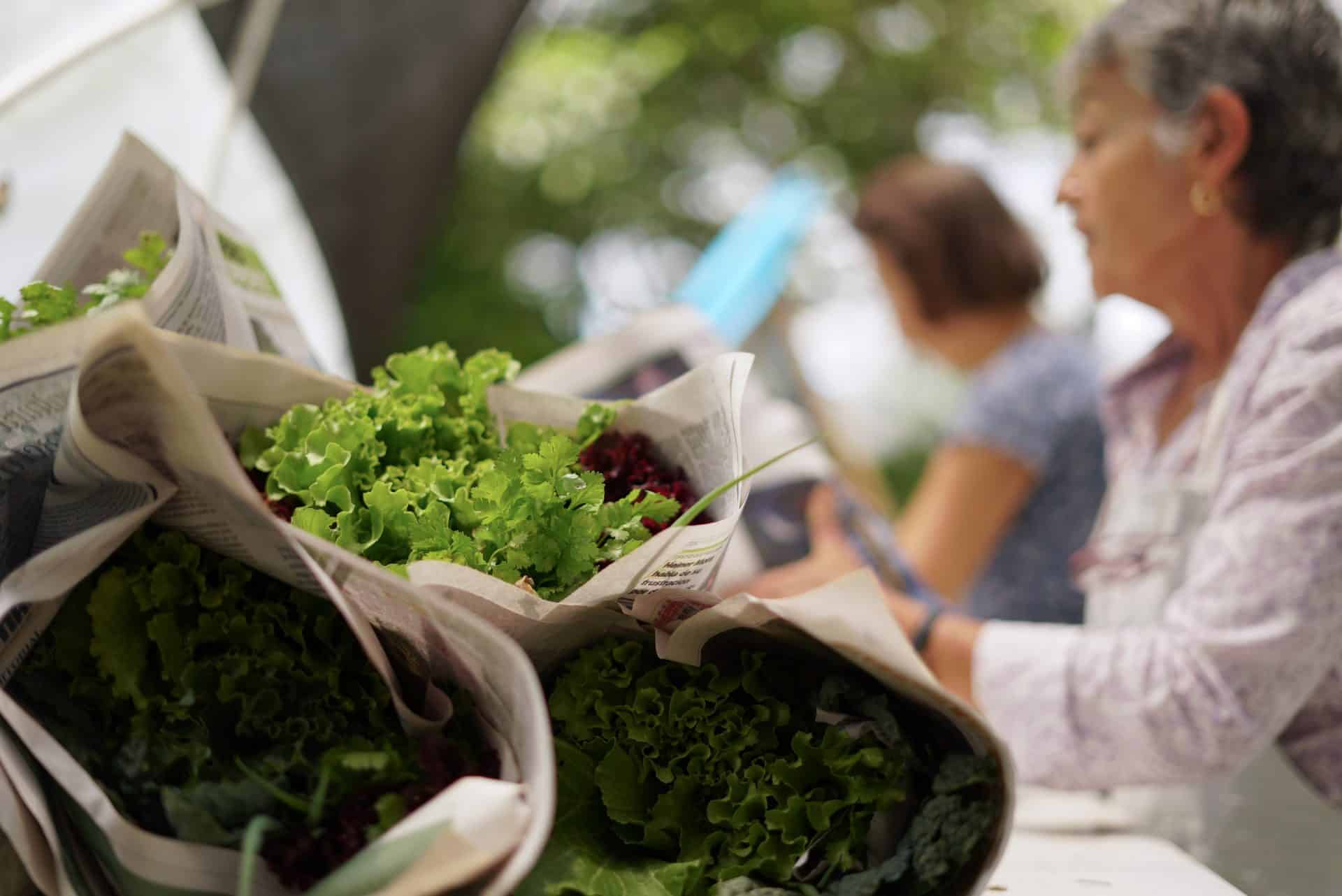 Curridabat, la ciudad más dulce de Costa Rica | Atlas of the Future ...