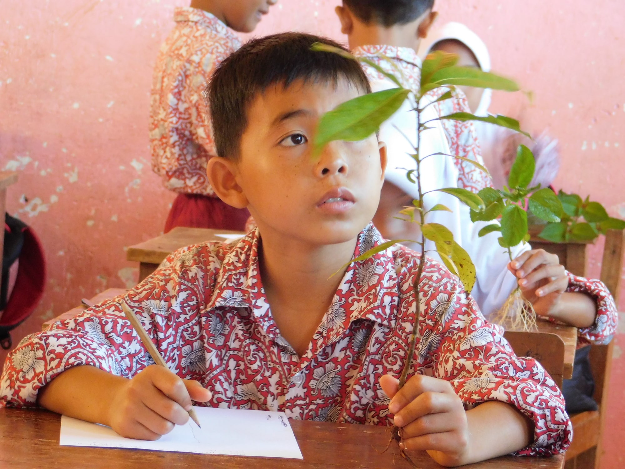 The Jungle Library Project - Atlas of the Future — Atlas of the Future